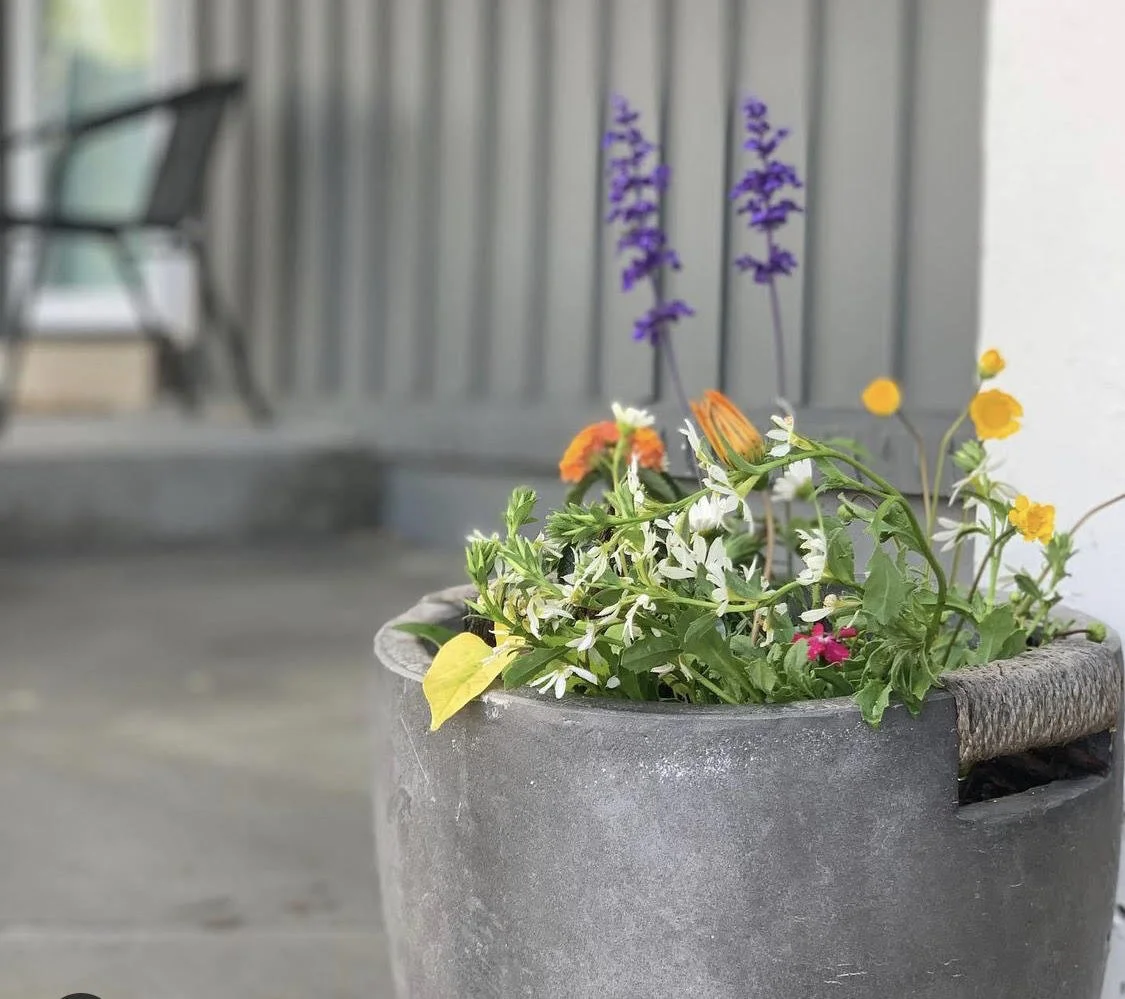 HEIRBLOOM POTTED CREATIONS