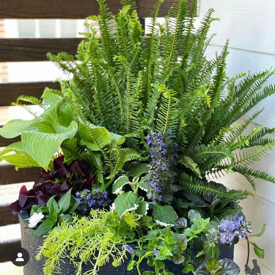 HEIRBLOOM POTTED CREATIONS