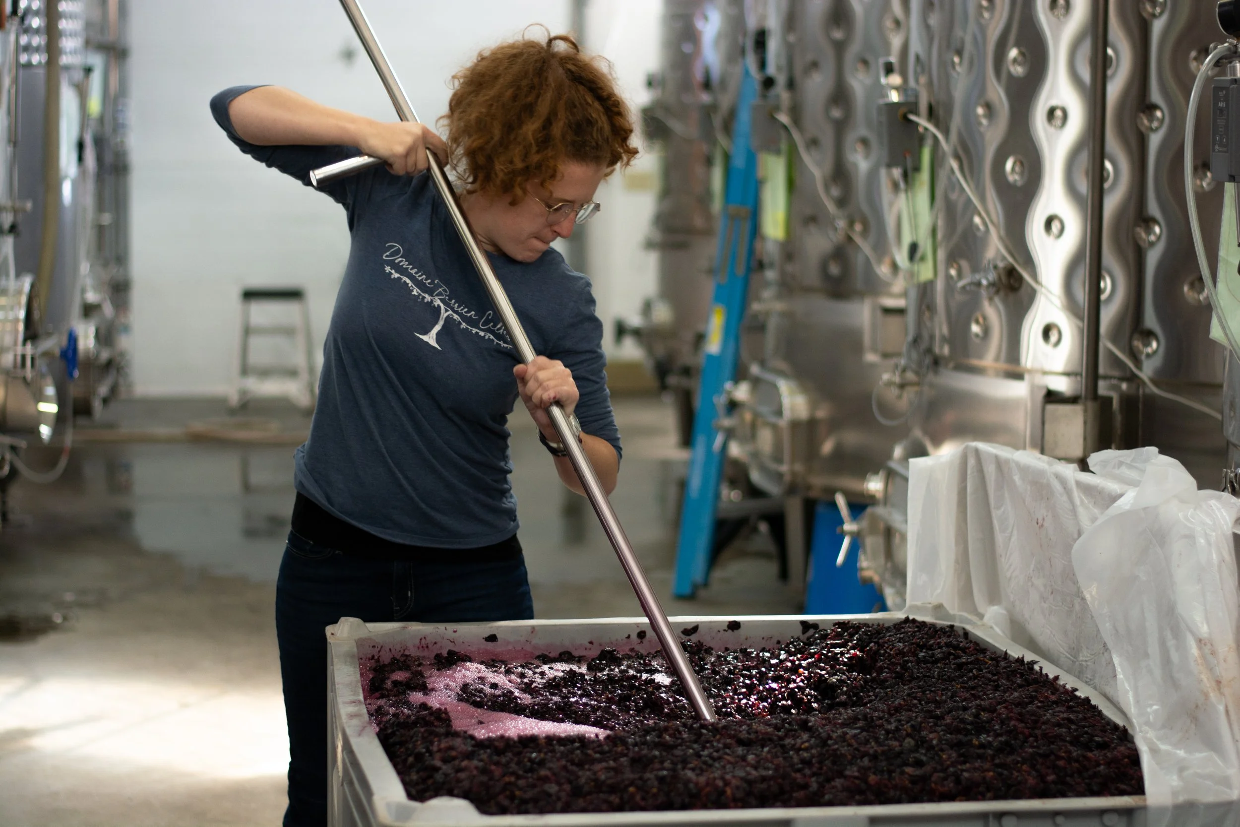 Wineries — Lake Michigan Shore Wine Trail