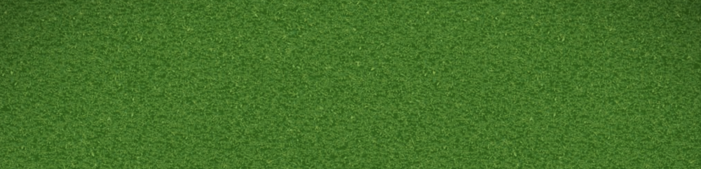 Turf Printing Enterprises, LLC