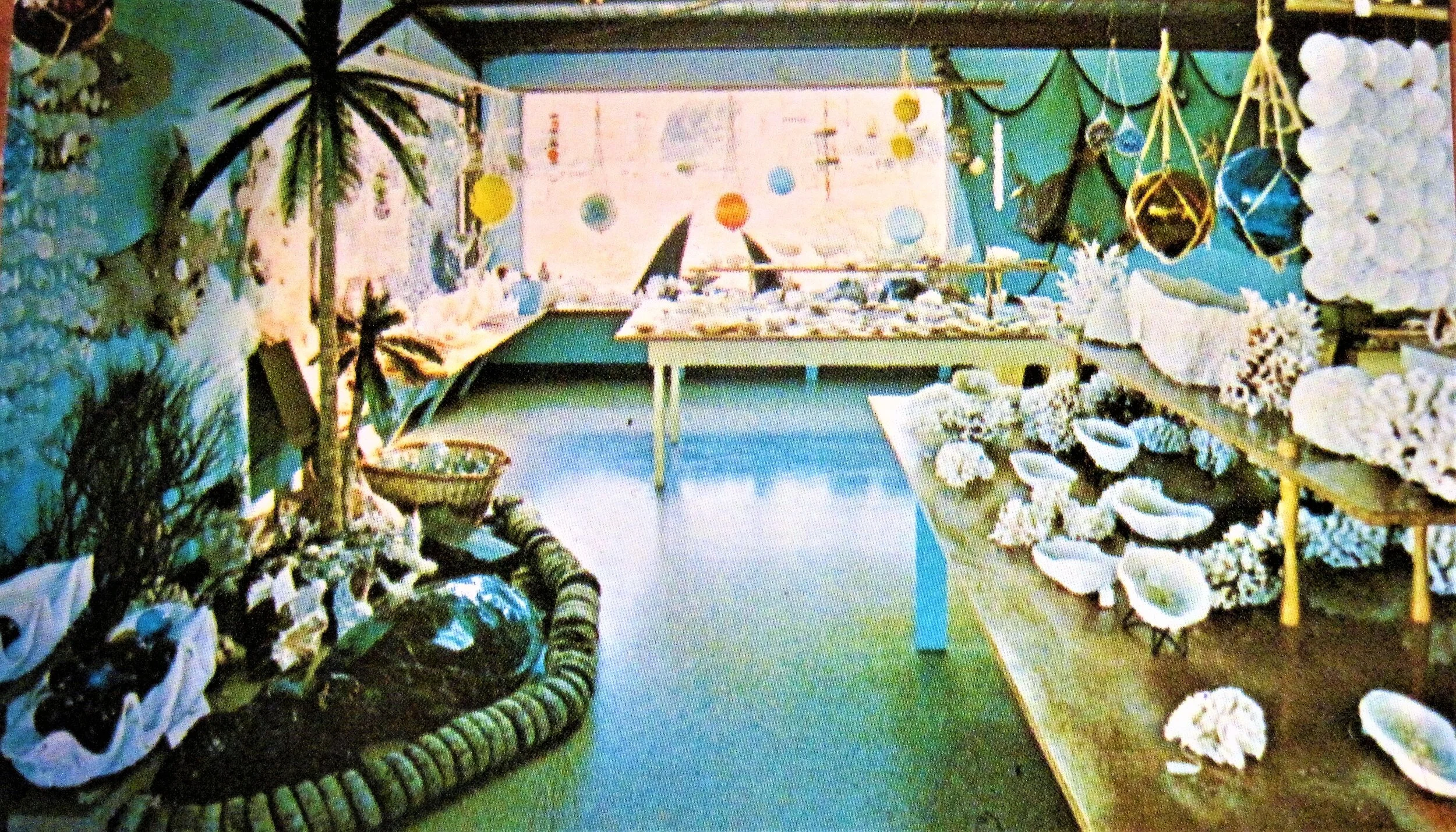 History — The Shell Shop