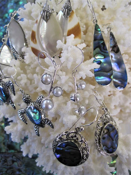 Gallery 2 — The Shell Shop