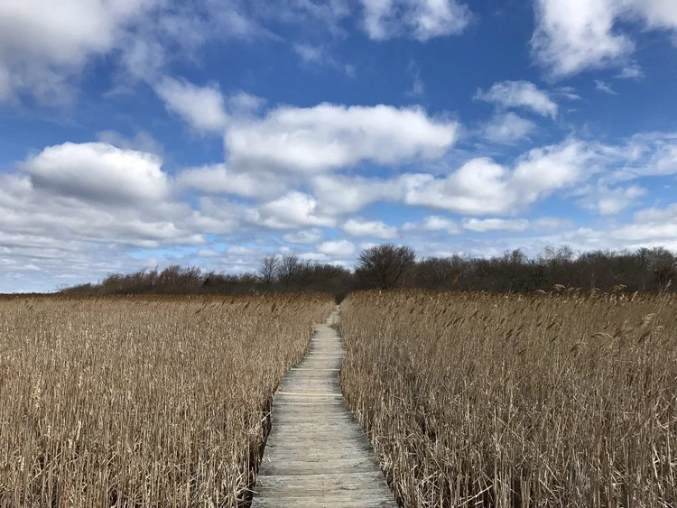A Step by Step Guide to Begin Your Walking Practice — This Morning Walk