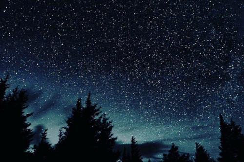 Finding Your Way through the Darkness — This Morning Walk