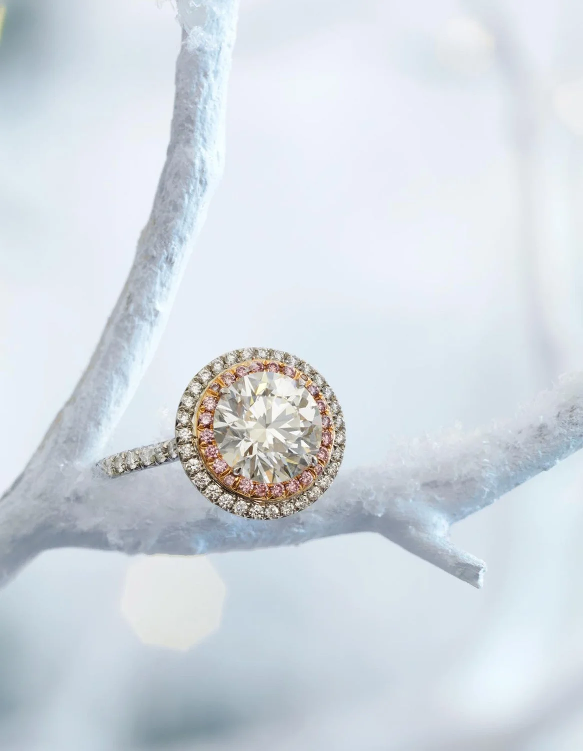 James Tse Photography