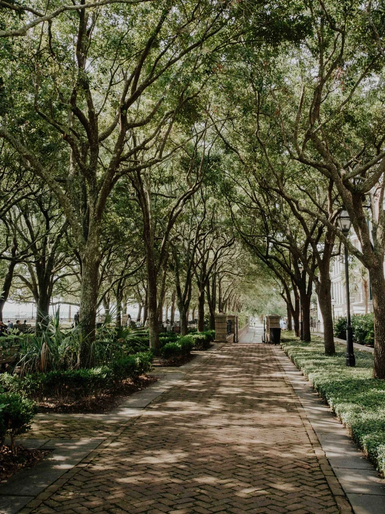 Ready and Roam / Charleston, South Carolina — Ready & Roam