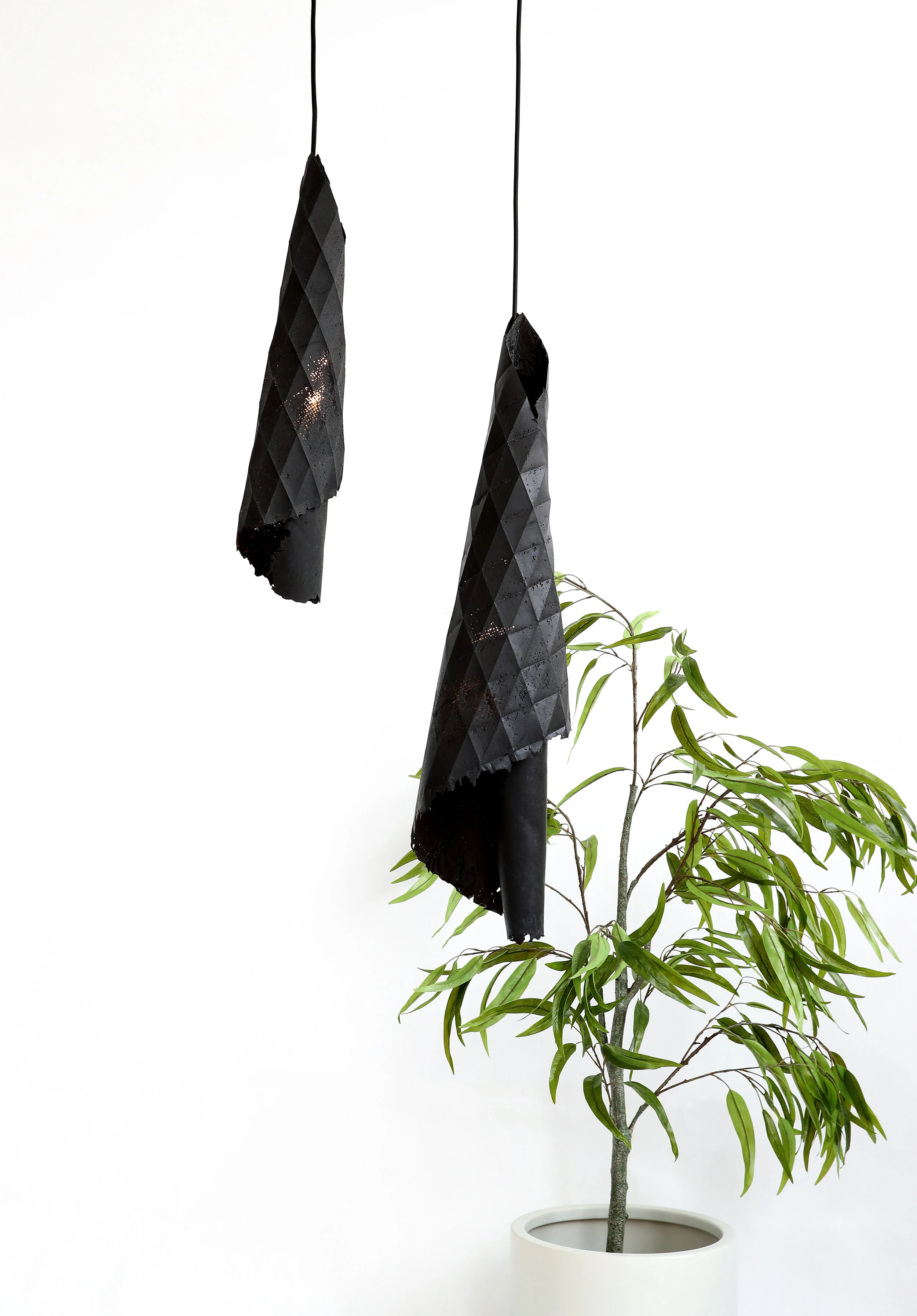 Diva Hanging — SWADOH