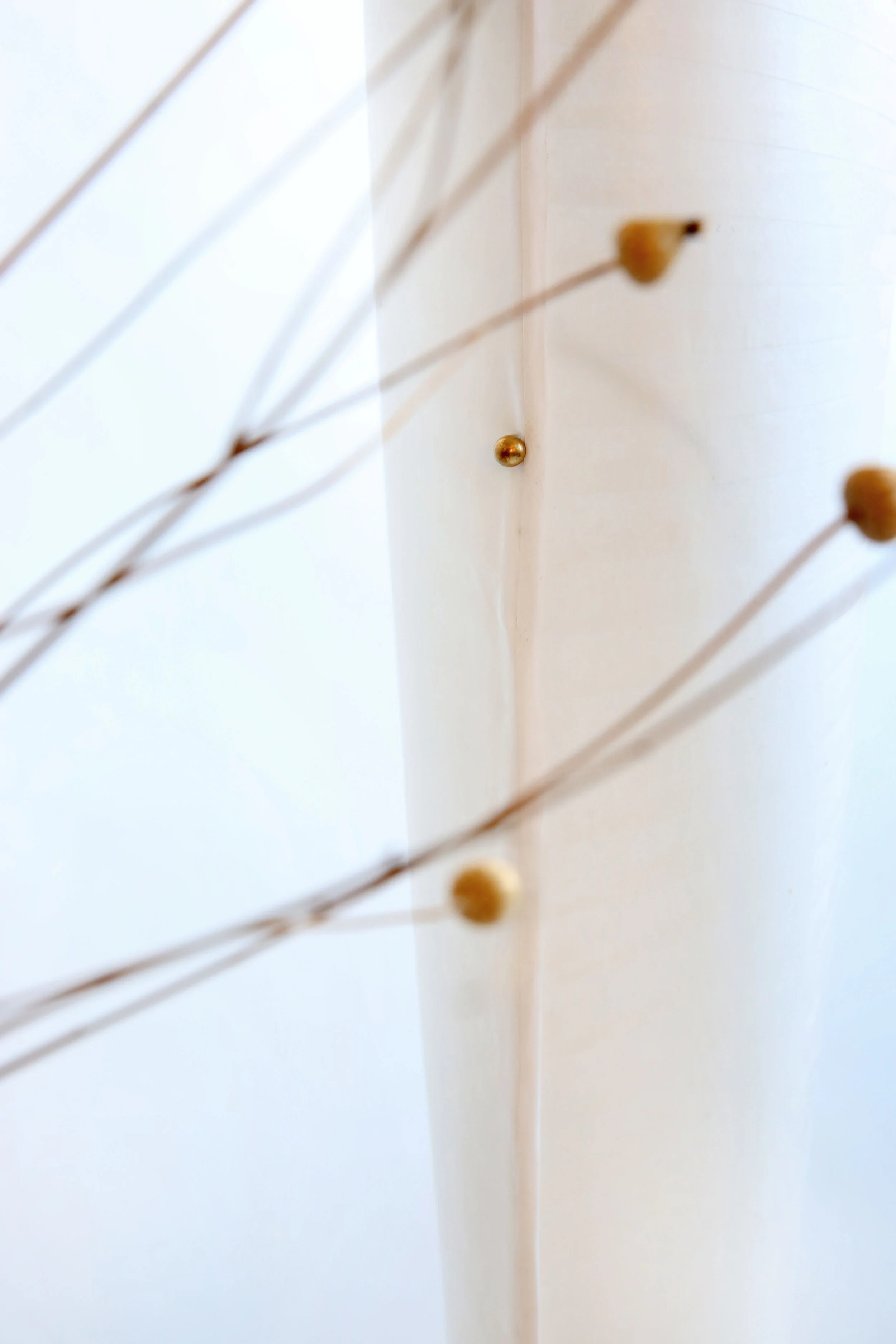 Diva Floor — SWADOH