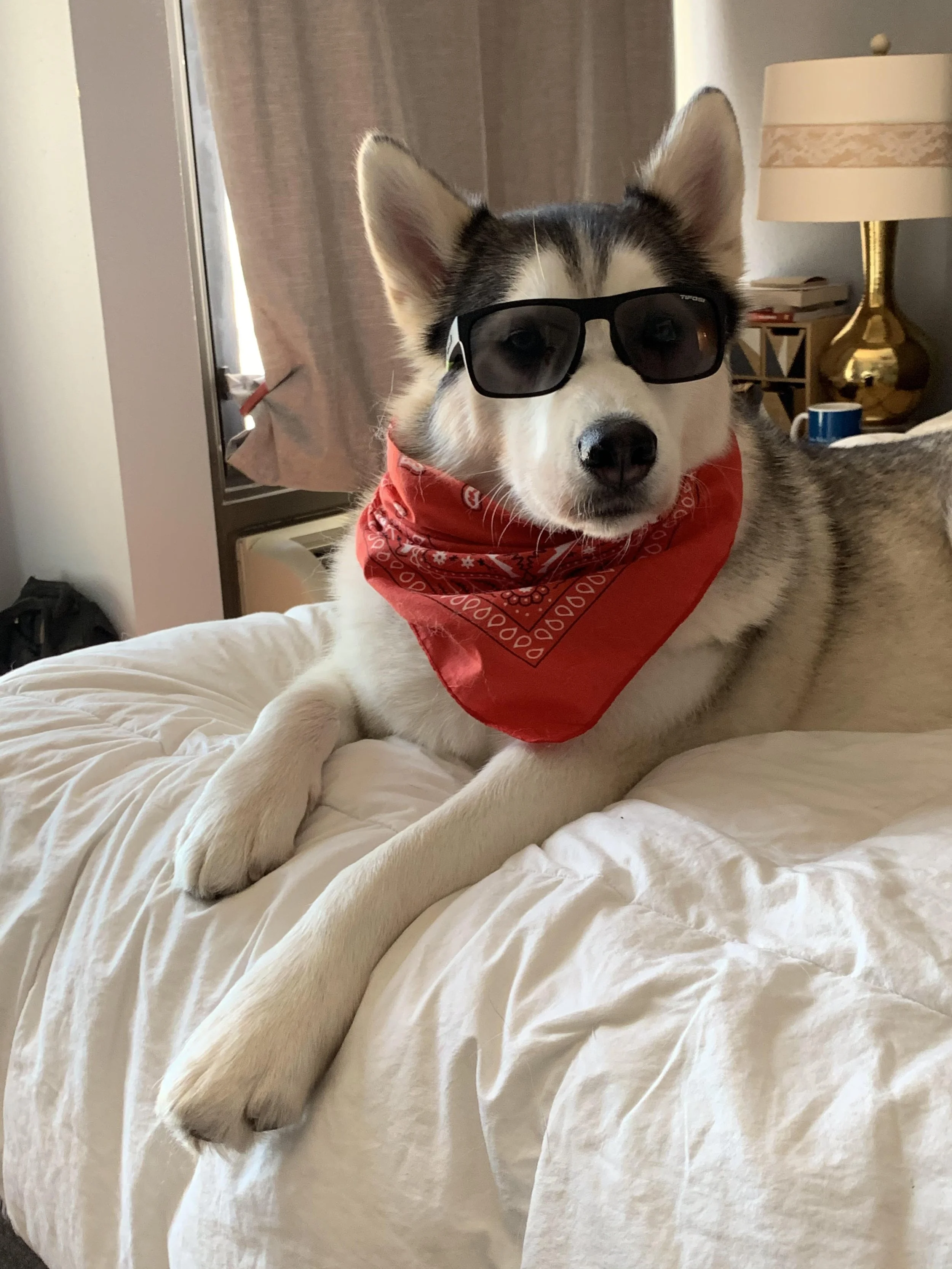 Dr. Uprety — Radiance Artistic Dental & Wellness Center