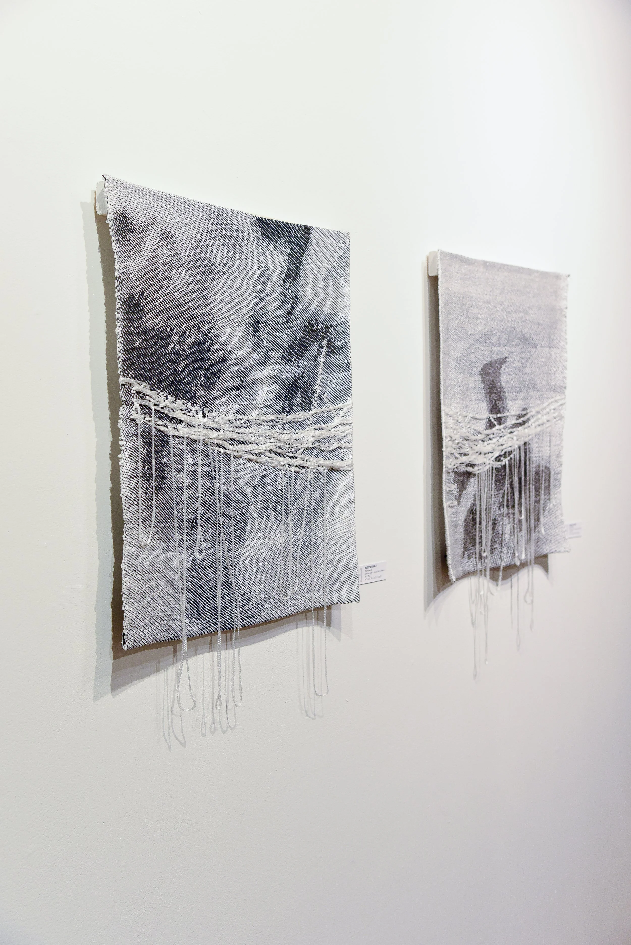 I Can't Remember Anything — Jessica Pinsky