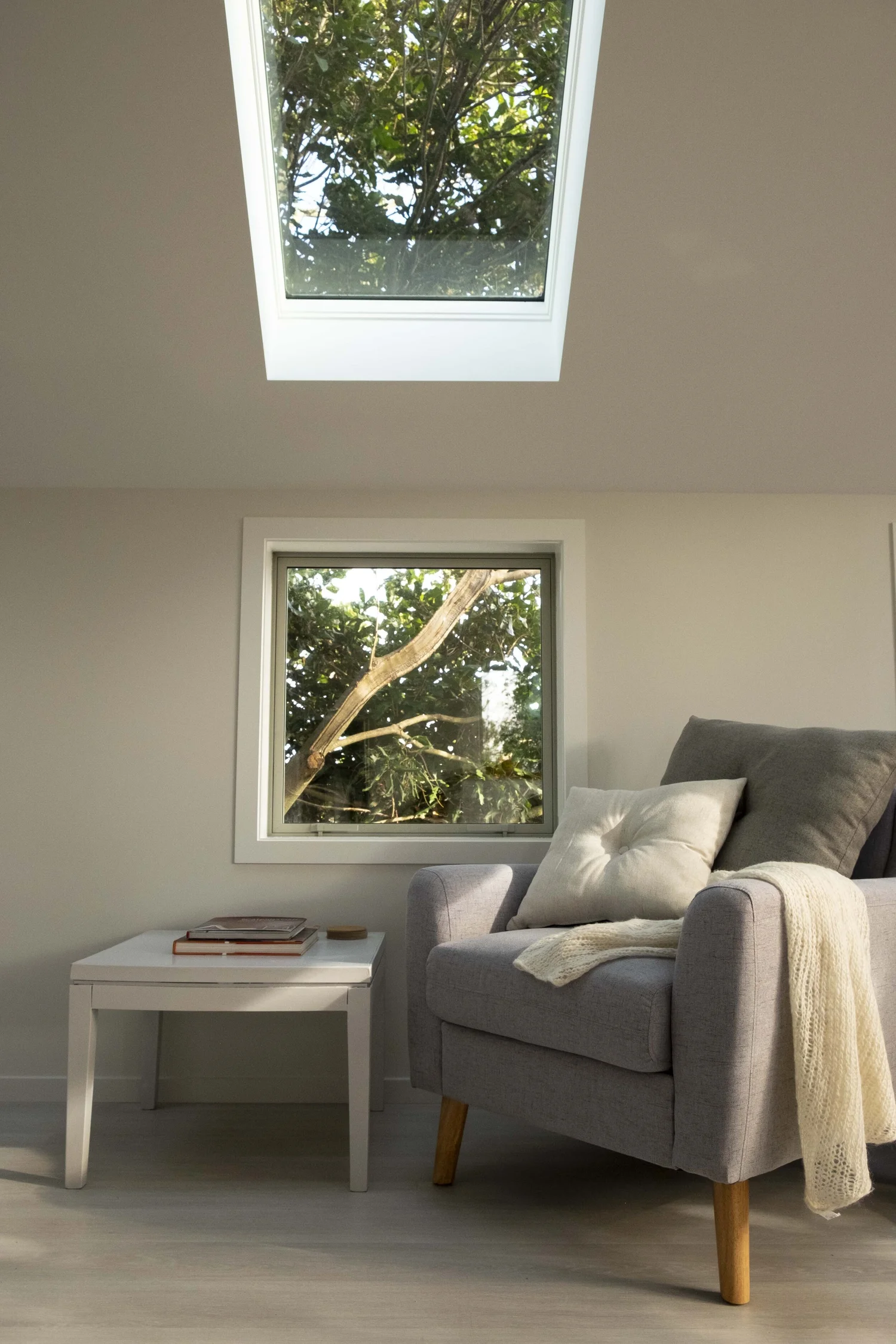 Mt Albert - New Build | Riva Homes