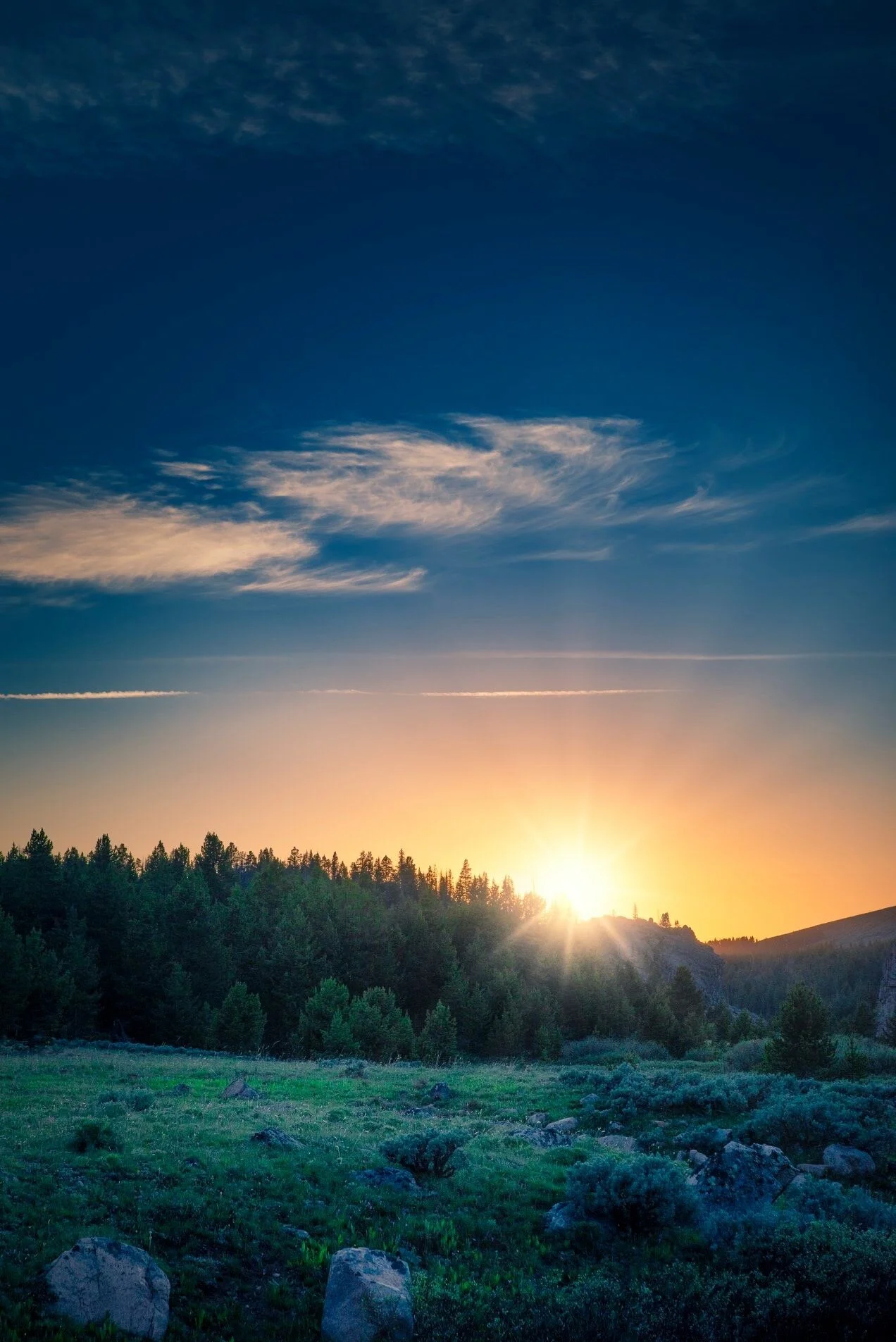 Evergreen Cremation Services - Affordable, Personal Care