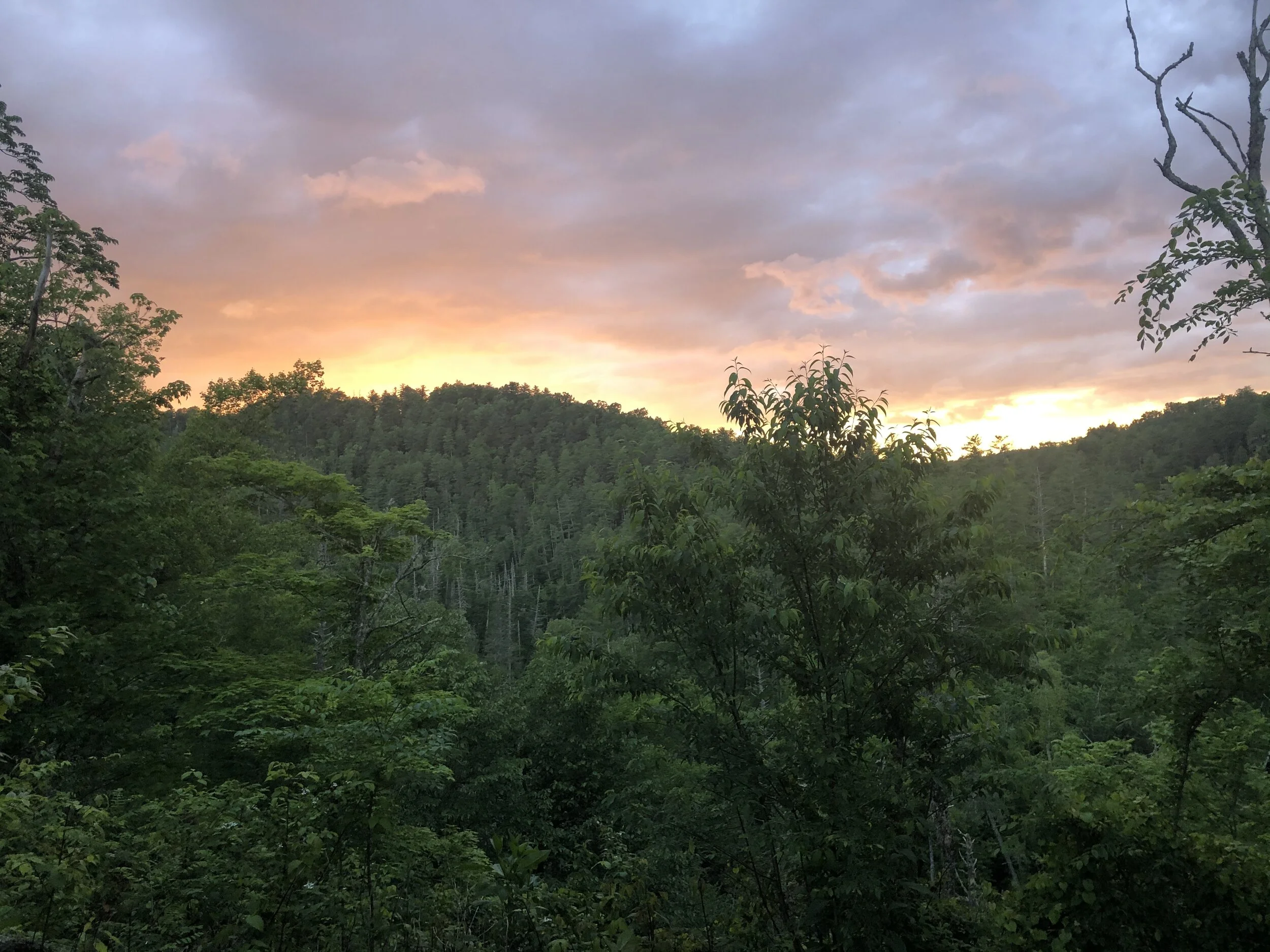 Pricing and Packages — Evergreen Cremation Services