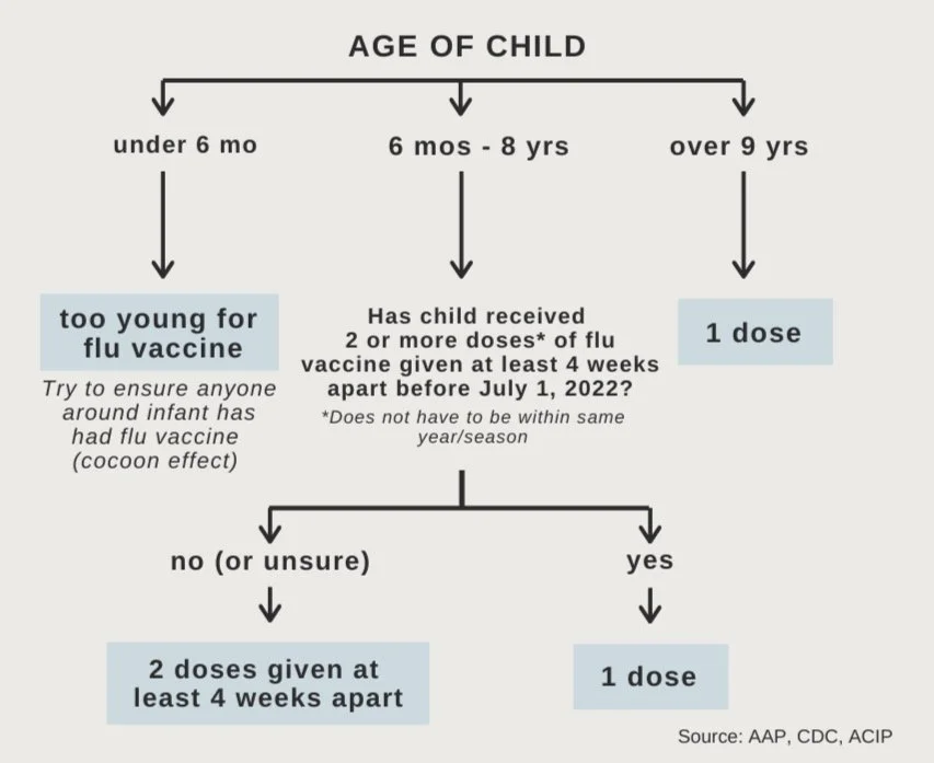 An overview of the flu vaccine — THE PEDIATRICIAN MOM