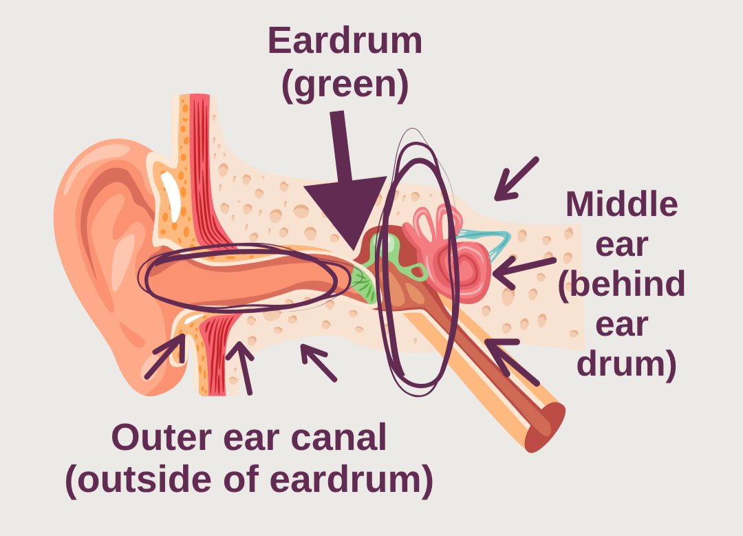 5 Common Causes of Ear Pain in Kids (It’s Not Always Swimmer’s Ear ...