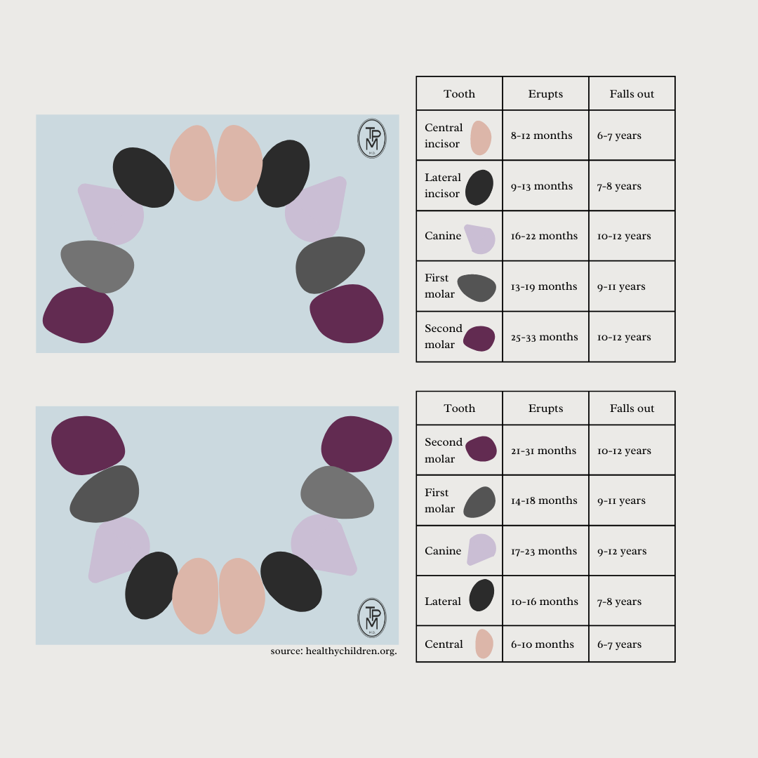 What to know about teething — THE PEDIATRICIAN MOM