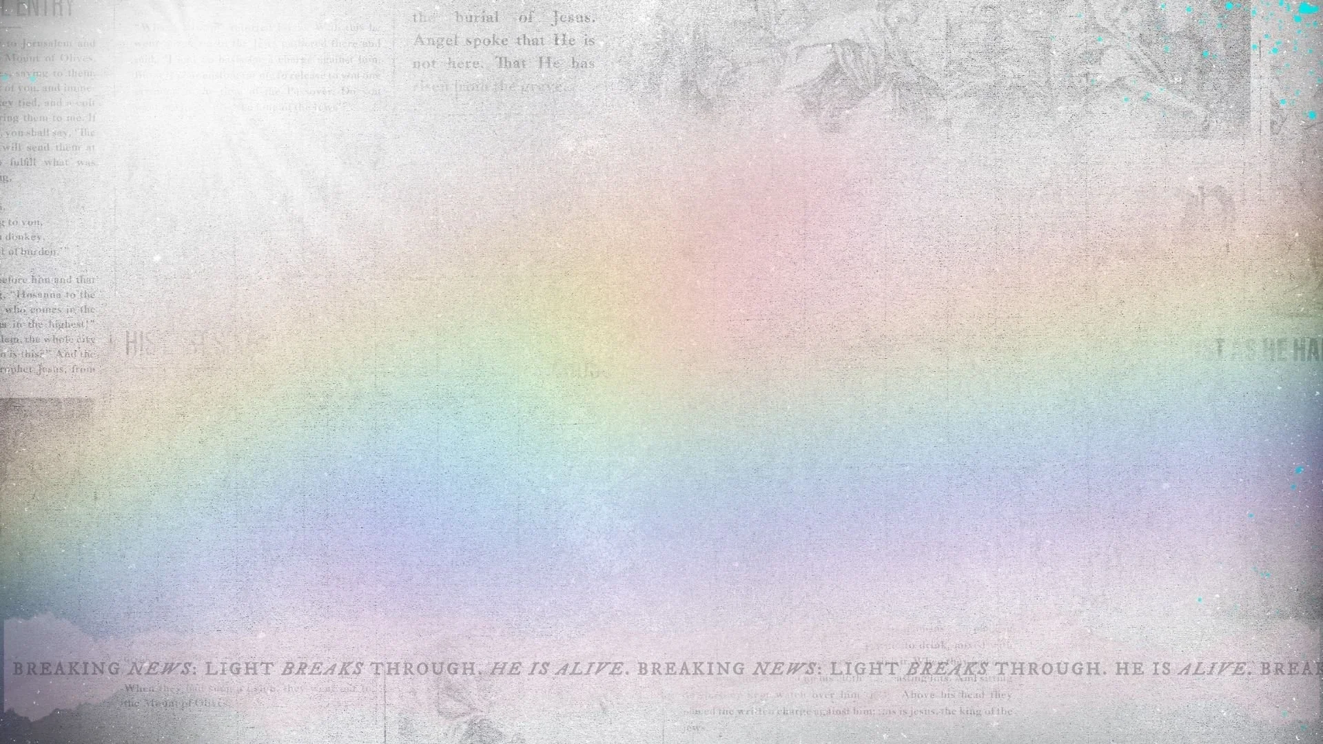 Fellowship Memphis | A Gospel-Centered | Disciple-Making | Multi-Ethnic ...