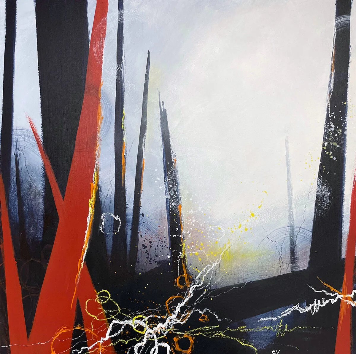 Squak Mountain — Caryn Vainio