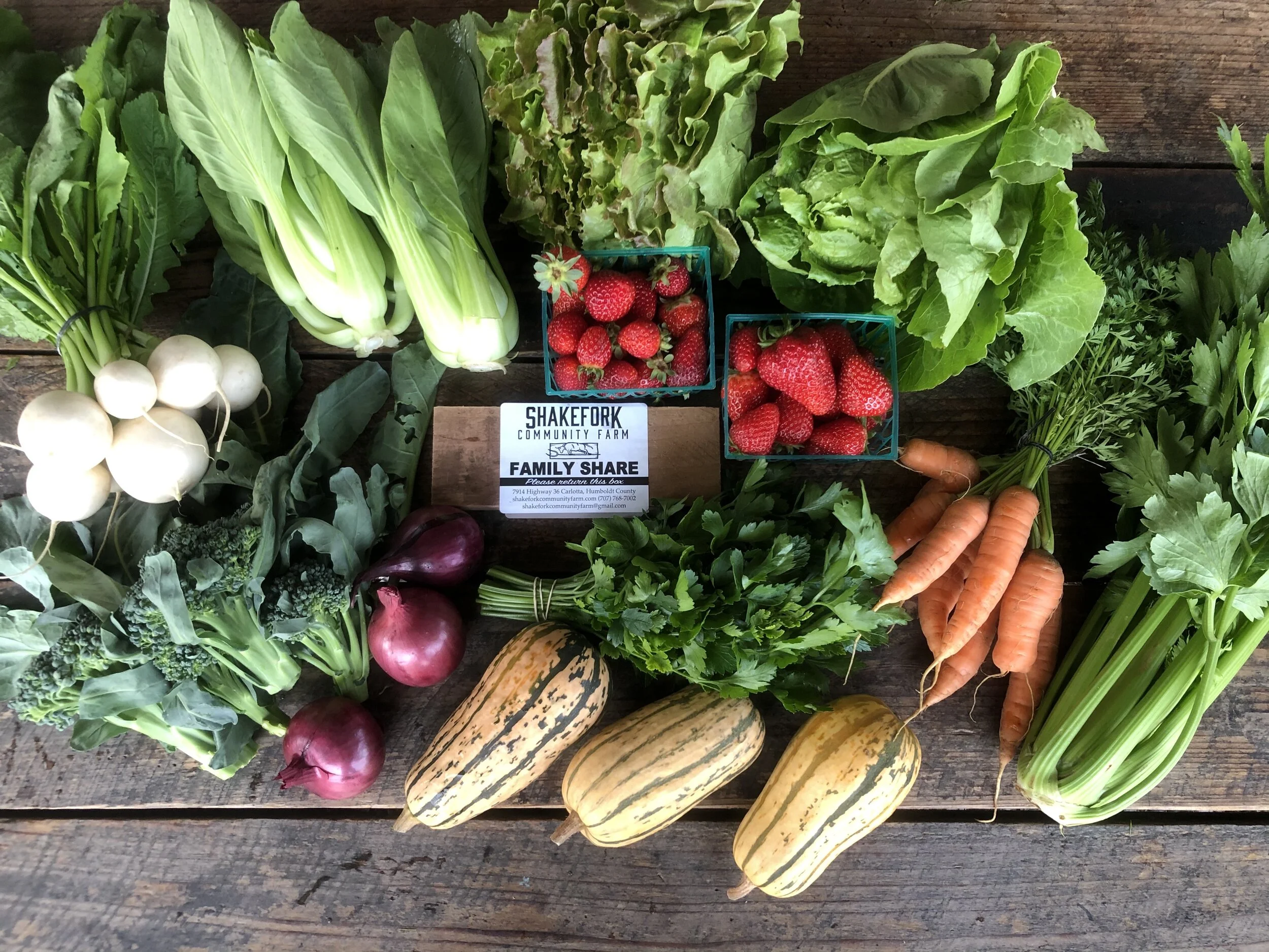 Shakefork Community Farm