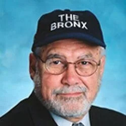 Assembly — Bronx Dems