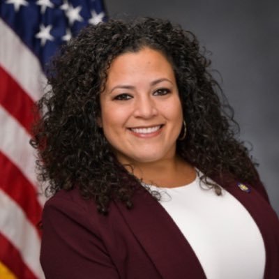 State Senate — Bronx Dems