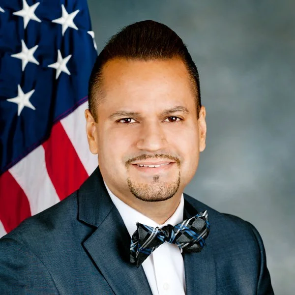 State Senate — Bronx Dems