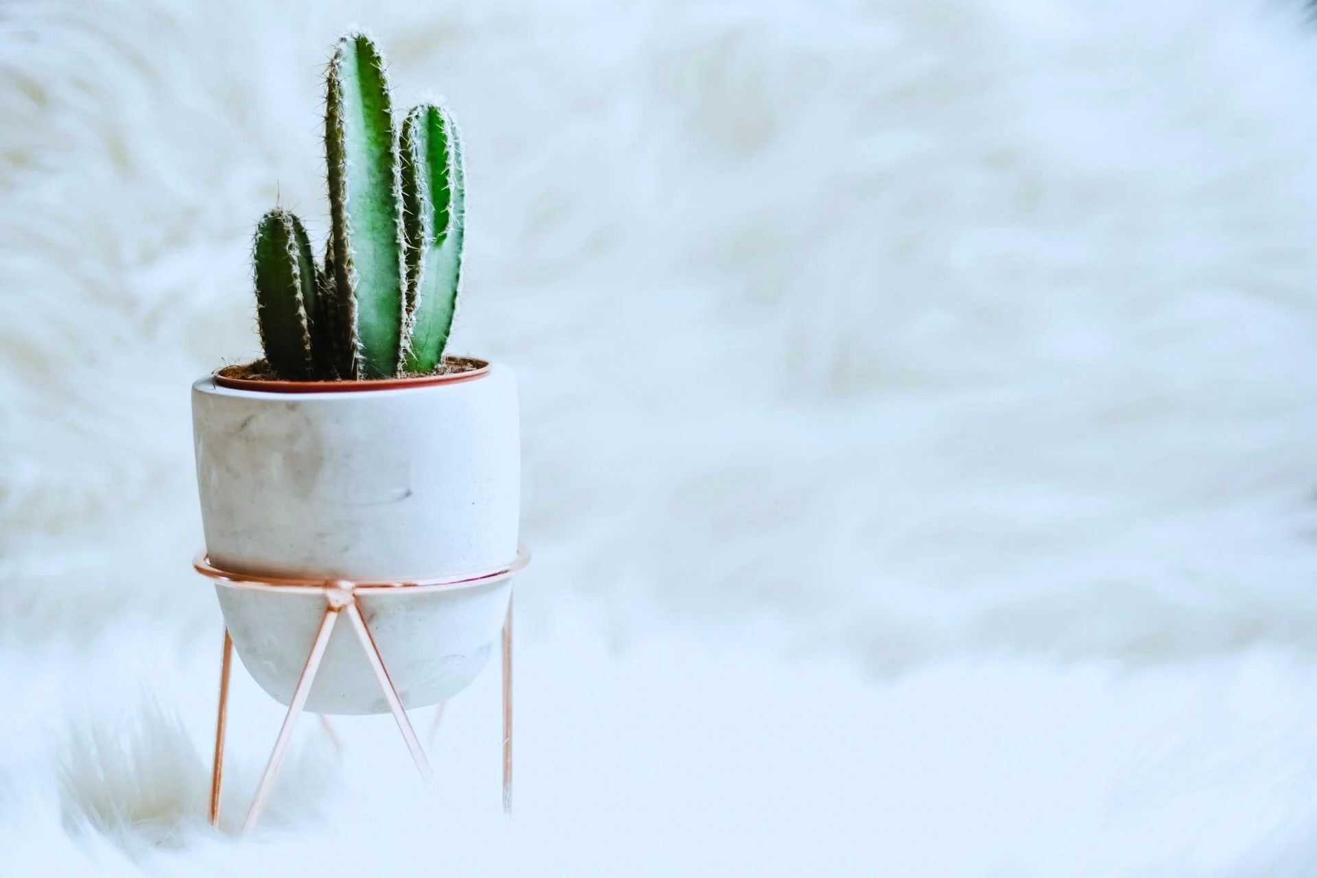 How To Reinvent Yourself: 11 Steps To Reinventing Yourself — Miss Tea ...