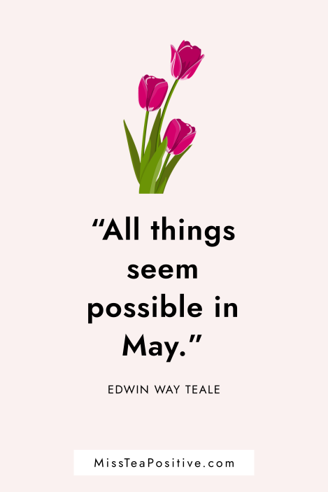 18 Beautiful May Quotes for a Positive Outlook — Miss Tea Positive