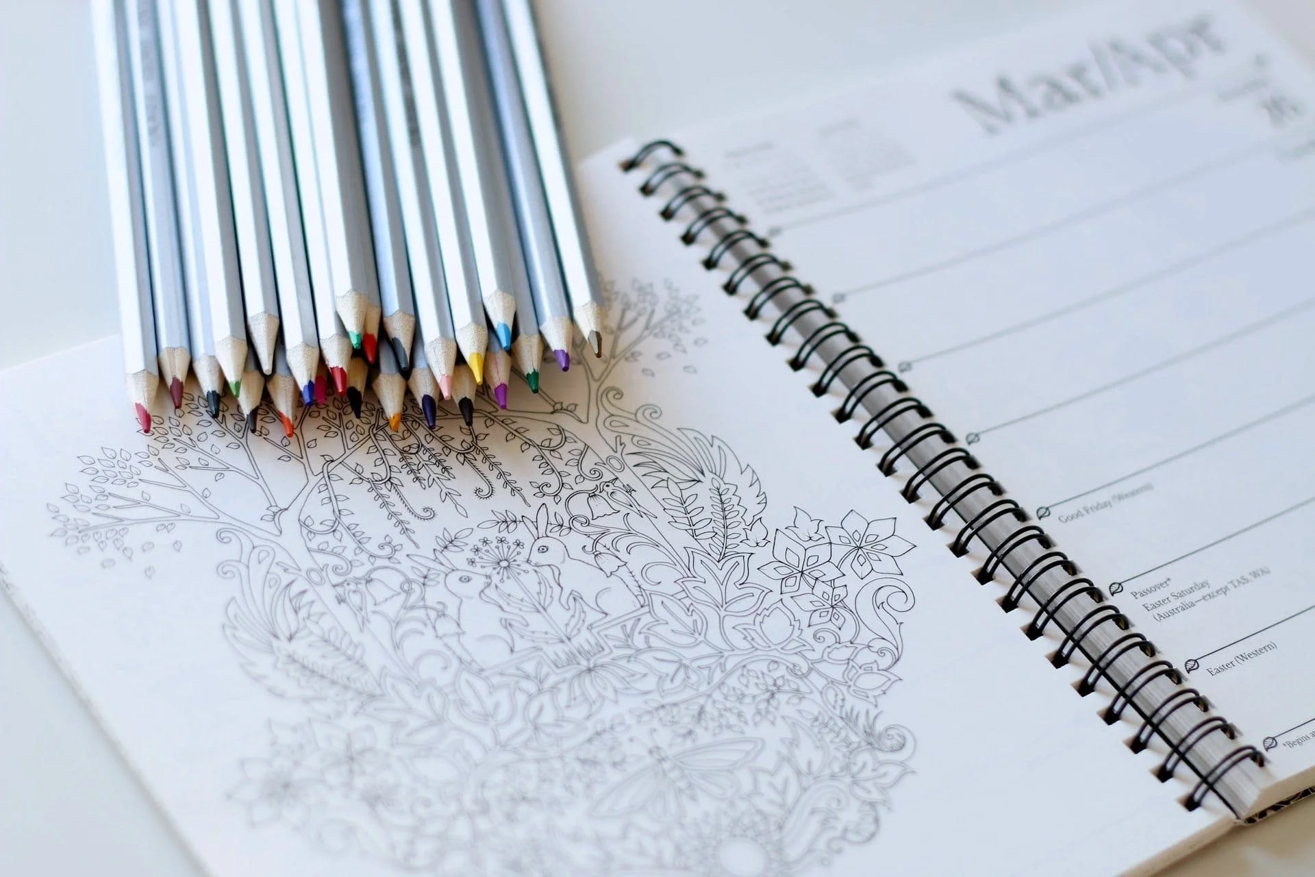 13 Best Adult Coloring Books of 2026 — Miss Tea Positive