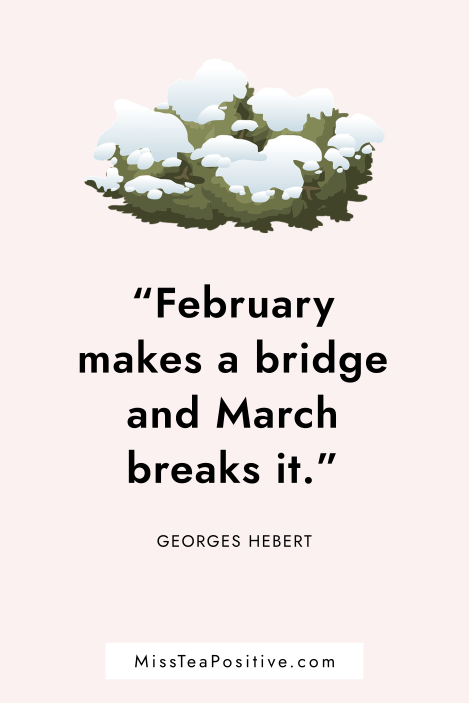 20 February Quotes To Embrace the Month of Love — Miss Tea Positive