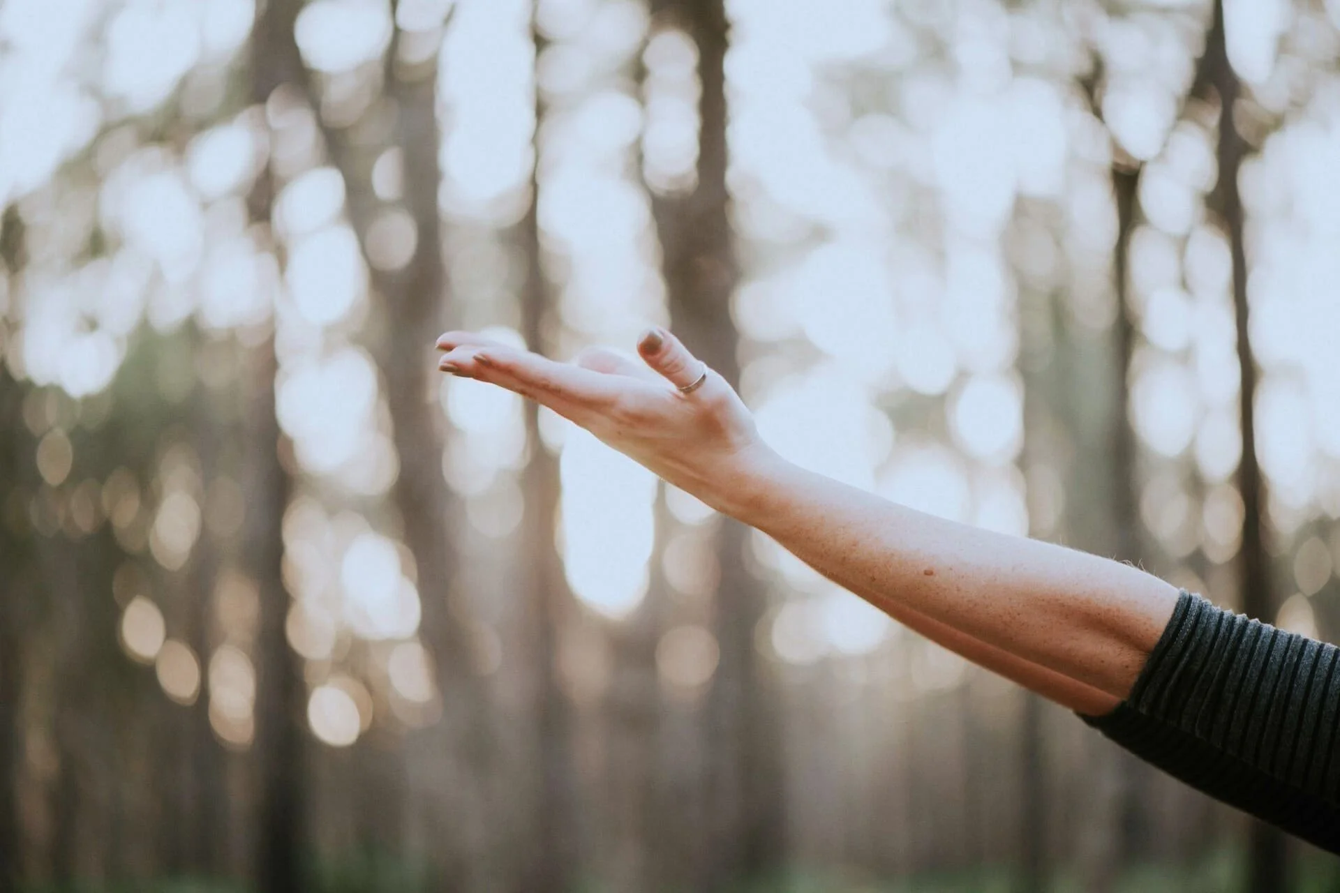 27 Physical Self Care and Wellness Tips for Healthy Life — Miss Tea ...