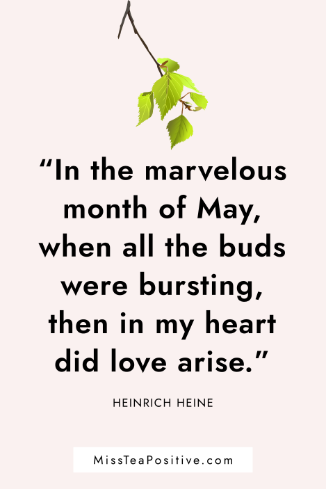 18 Beautiful May Quotes for a Positive Outlook — Miss Tea Positive