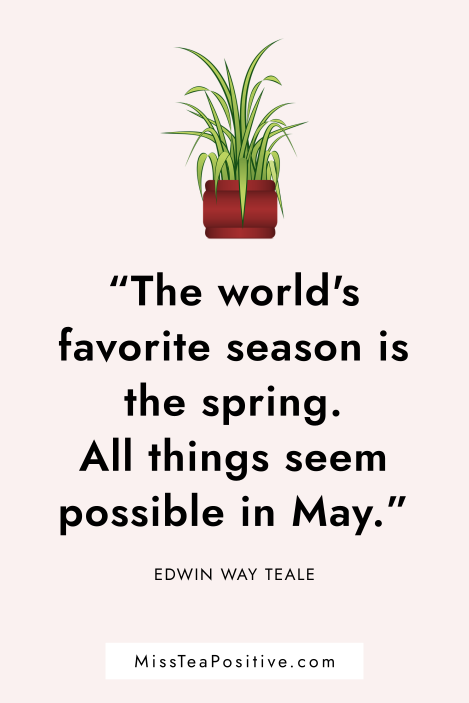 18 Beautiful May Quotes for a Positive Outlook — Miss Tea Positive