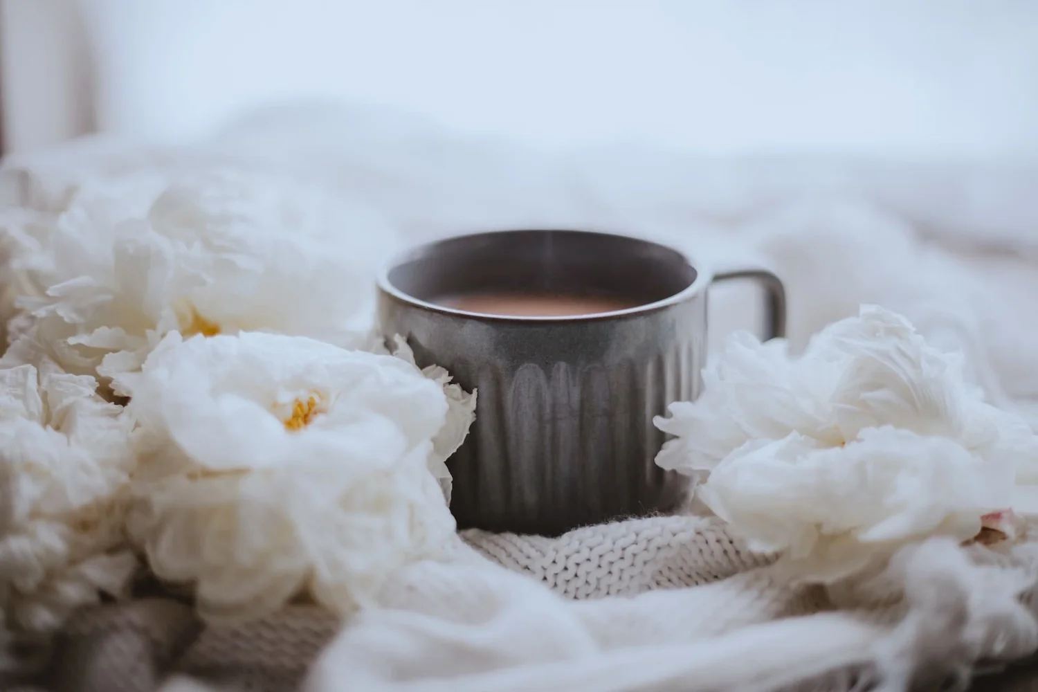 How To Refresh Your Mind Quickly — Miss Tea Positive