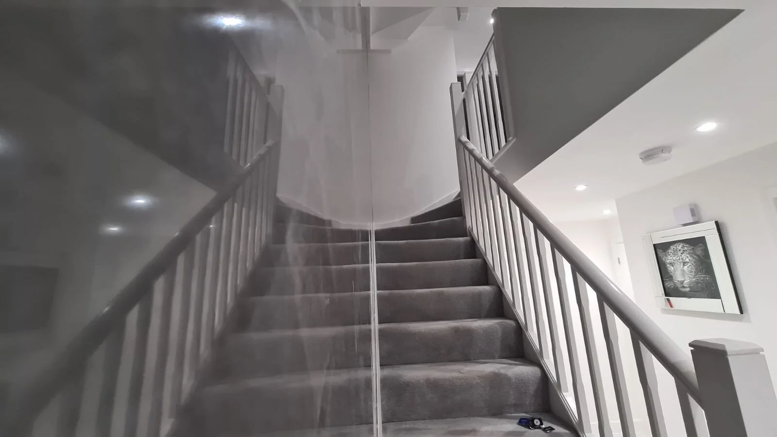 Newman Venetian Plastering