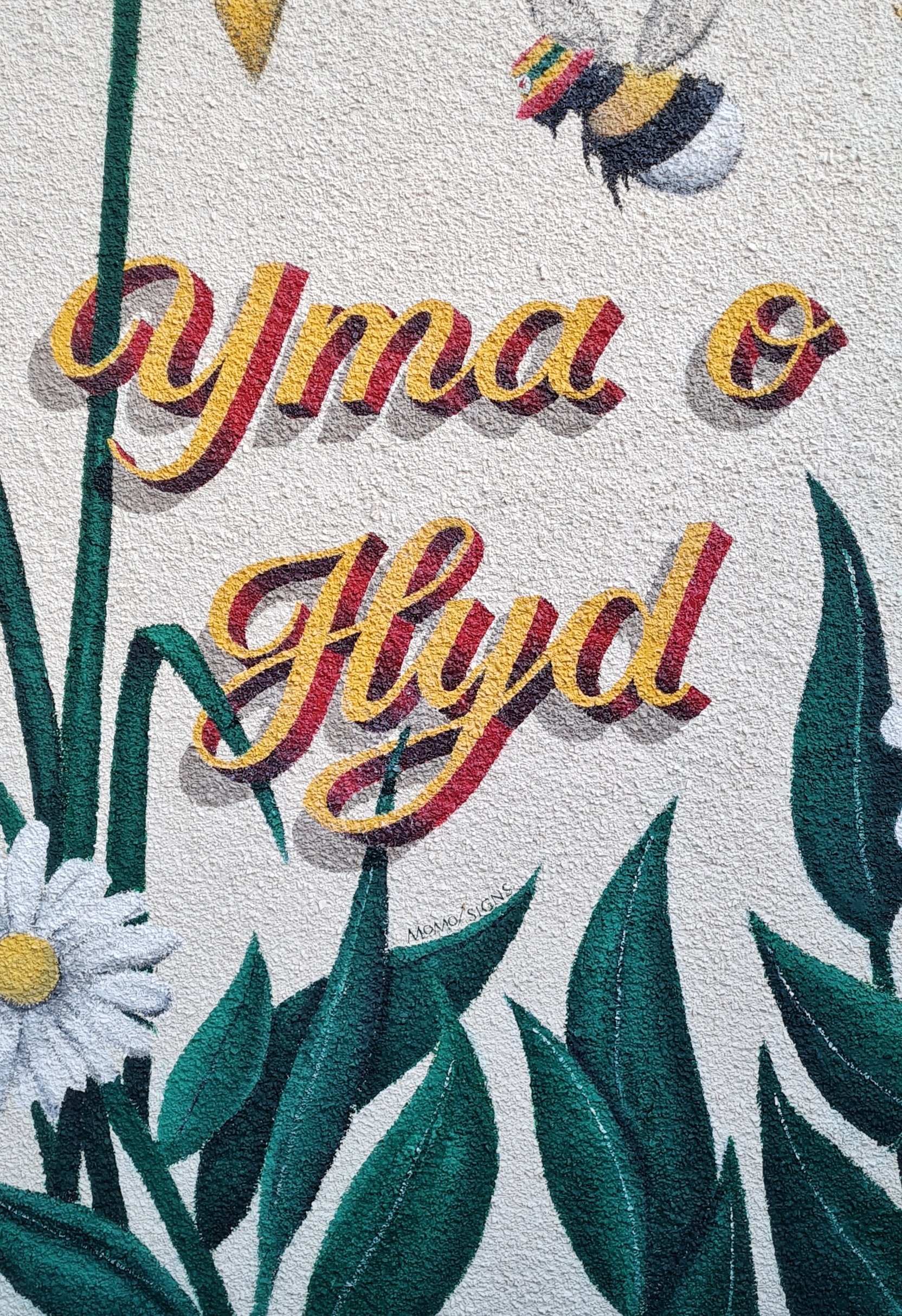 Momo Signs North Wales Traditional Hand Painted Signwriting Gold Leaf ...