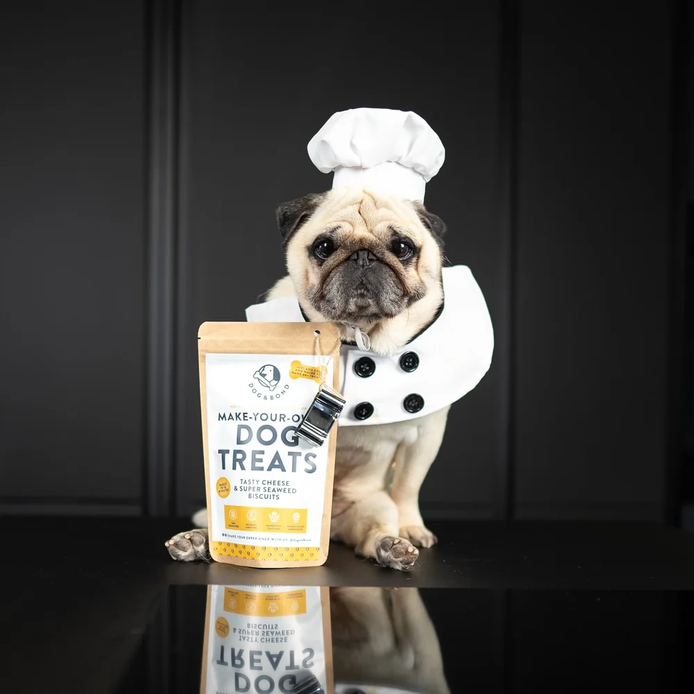 Dog & Bond Wins Prestigious PATS 2024 New Product Award for Cheese Dog ...