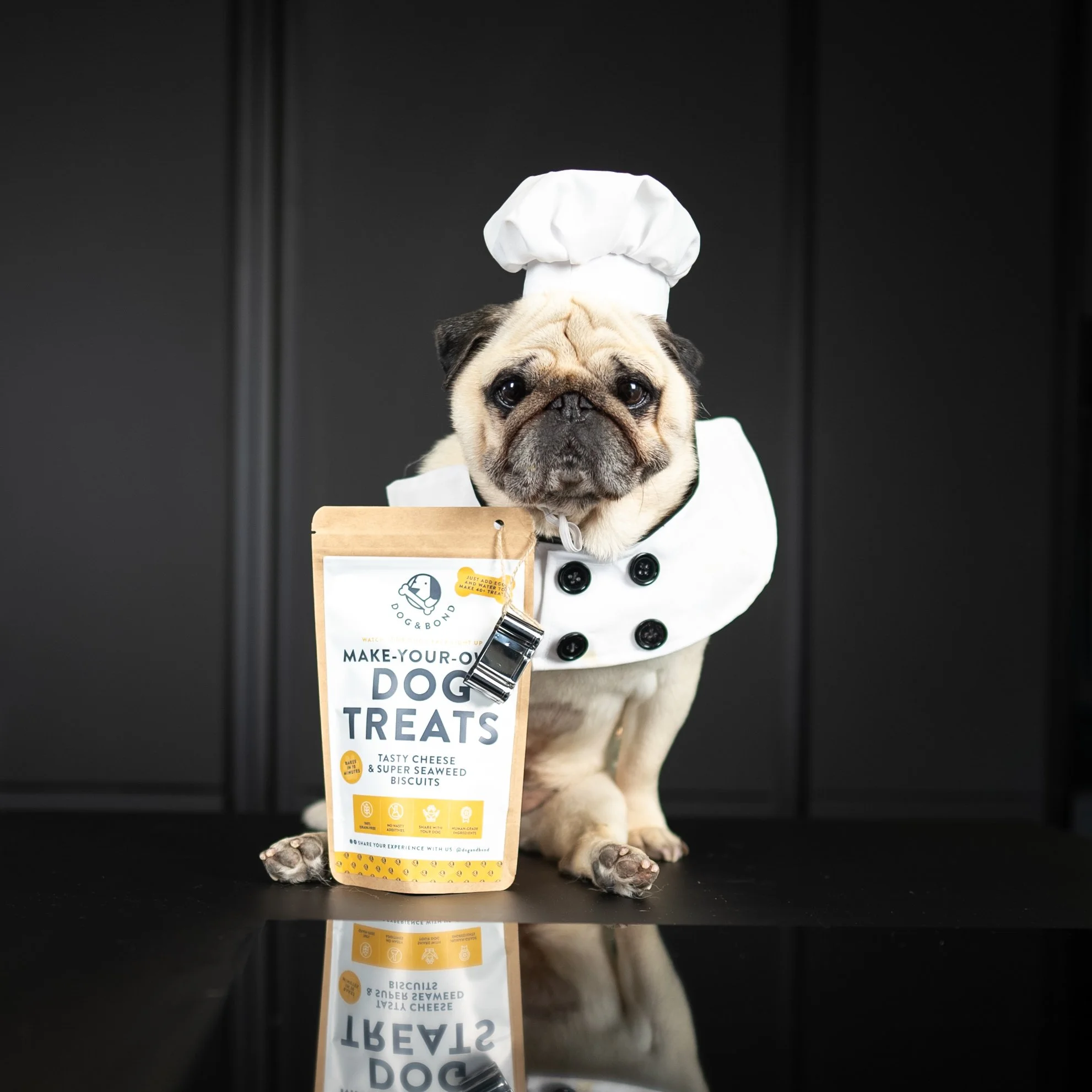 Dog & Bond Wins Prestigious PATS 2024 New Product Award for Cheese Dog ...