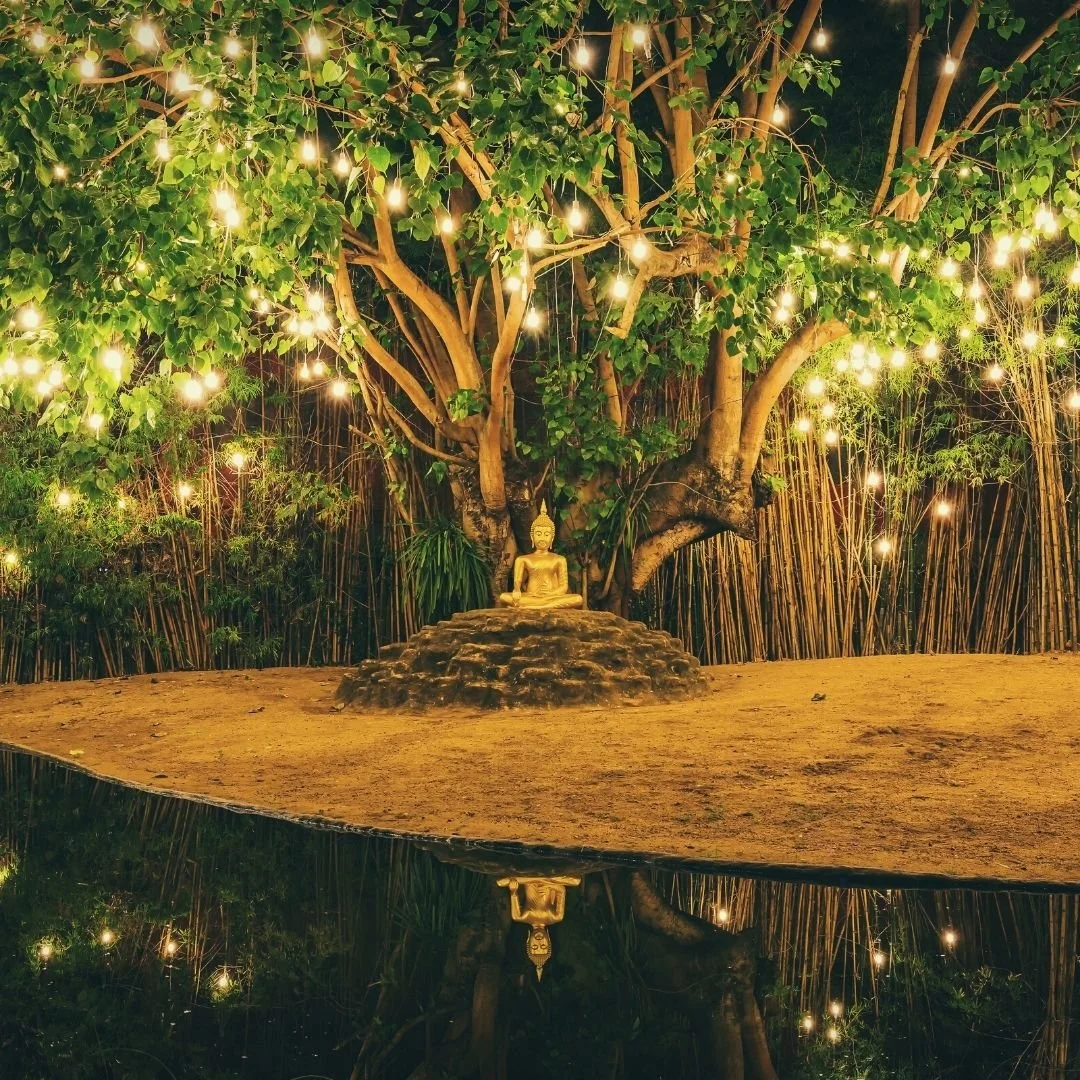 Articles & Lessons — Temple Buddhist Center