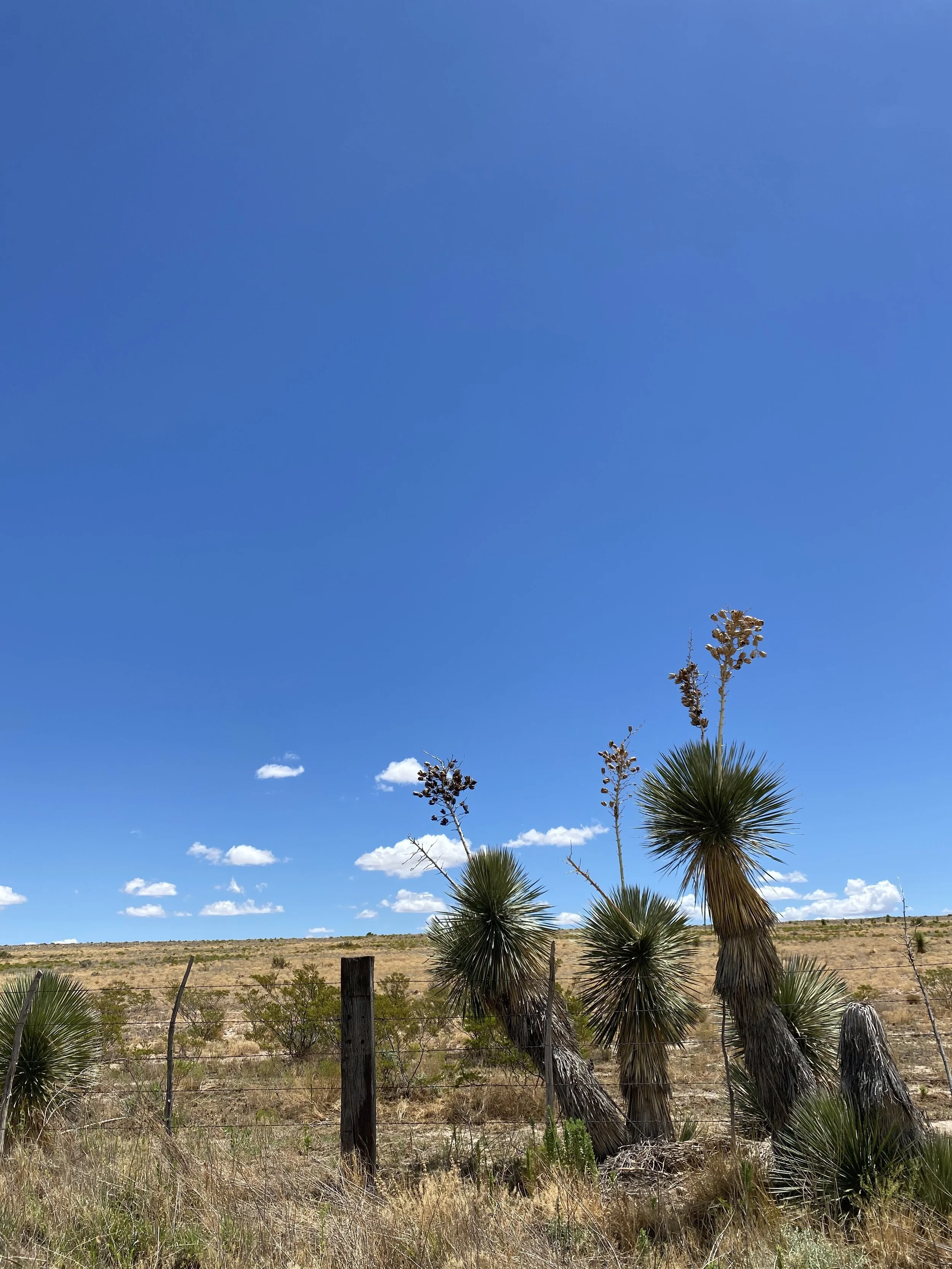 Locations — Abell Ranches