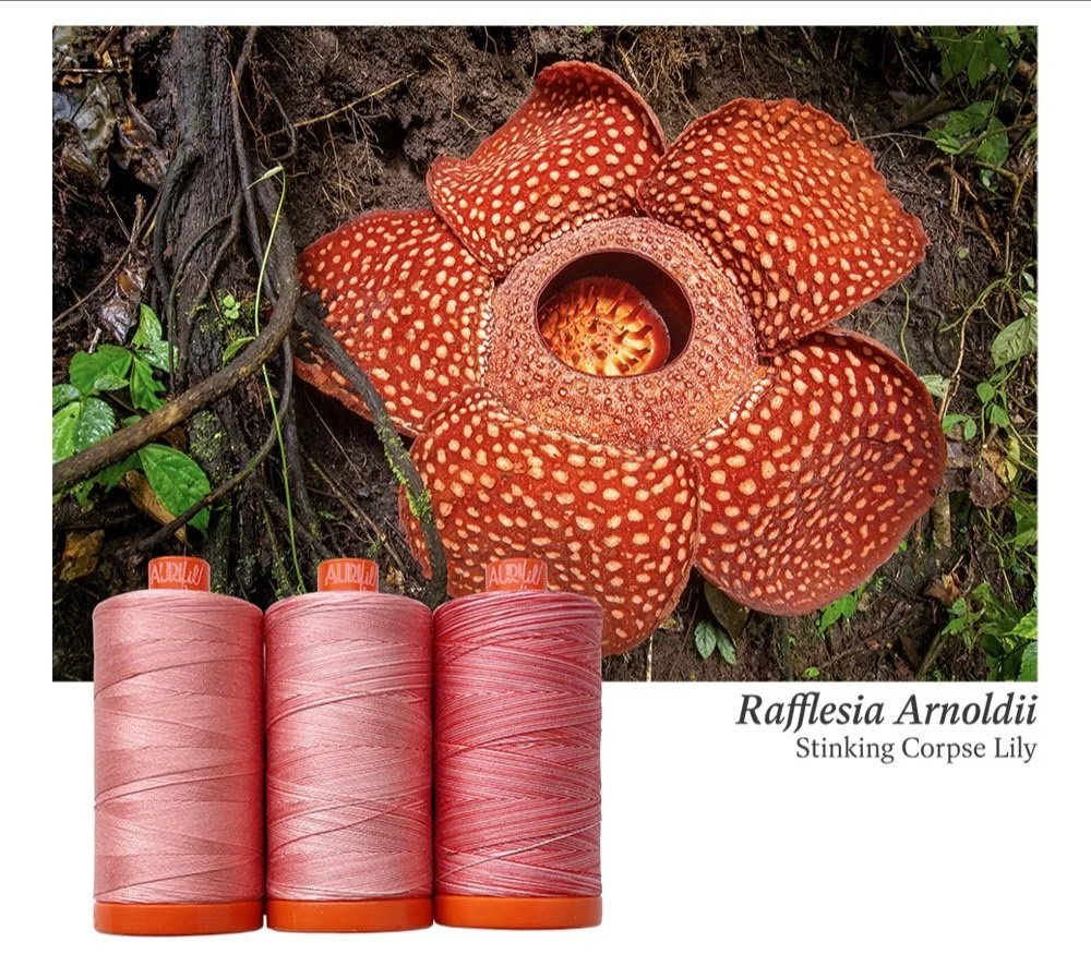 Stinking Corpse Lily: Aurifil Color Builders 2022 — String & Story