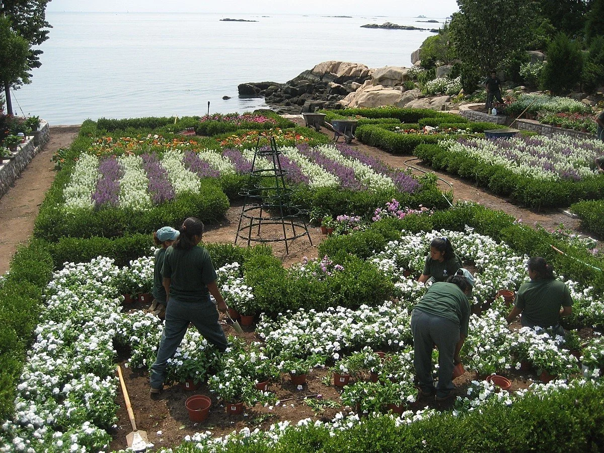 Services — Ultimate Professional Grounds Management