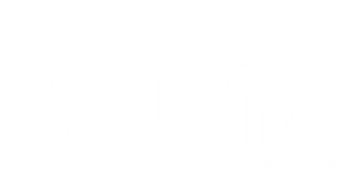MUTTS Dog Rescue