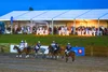 Events — Polo Canada