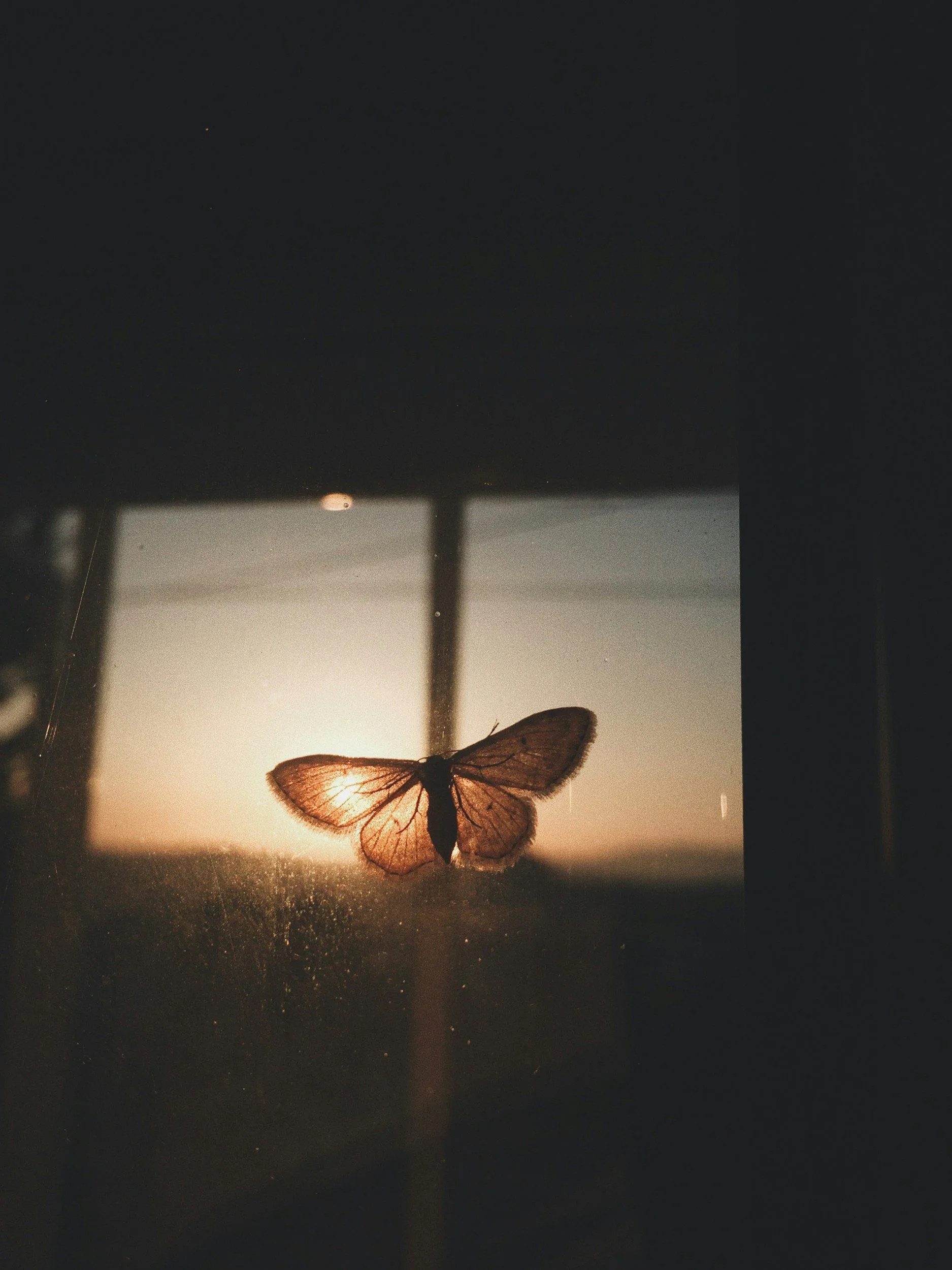 Allison Brunner — Healer, Mystic, Guide
