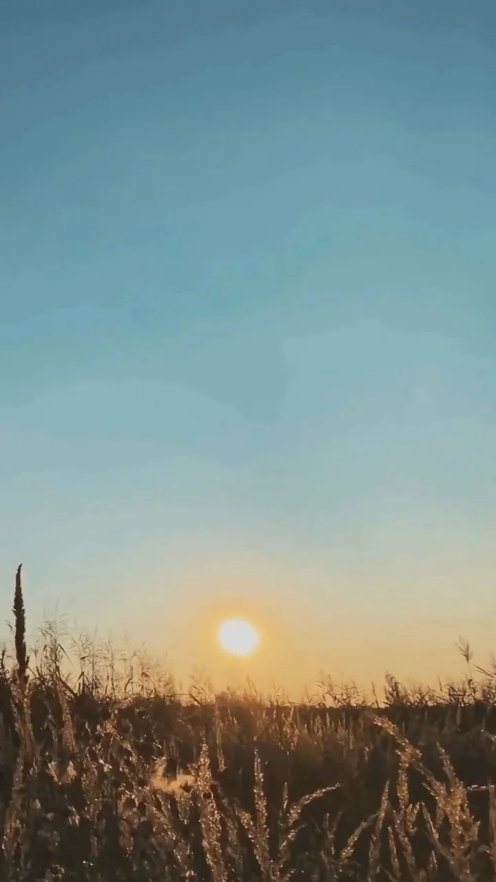 Allison Brunner — Healer, Mystic, Guide