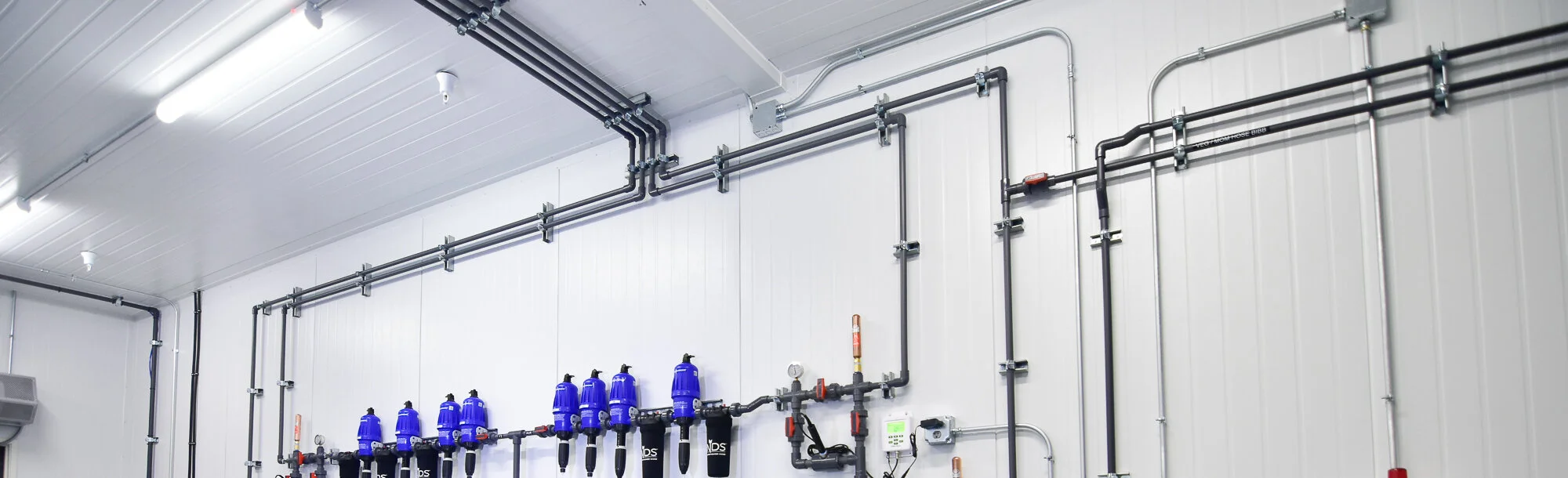 About — Demeter Designs