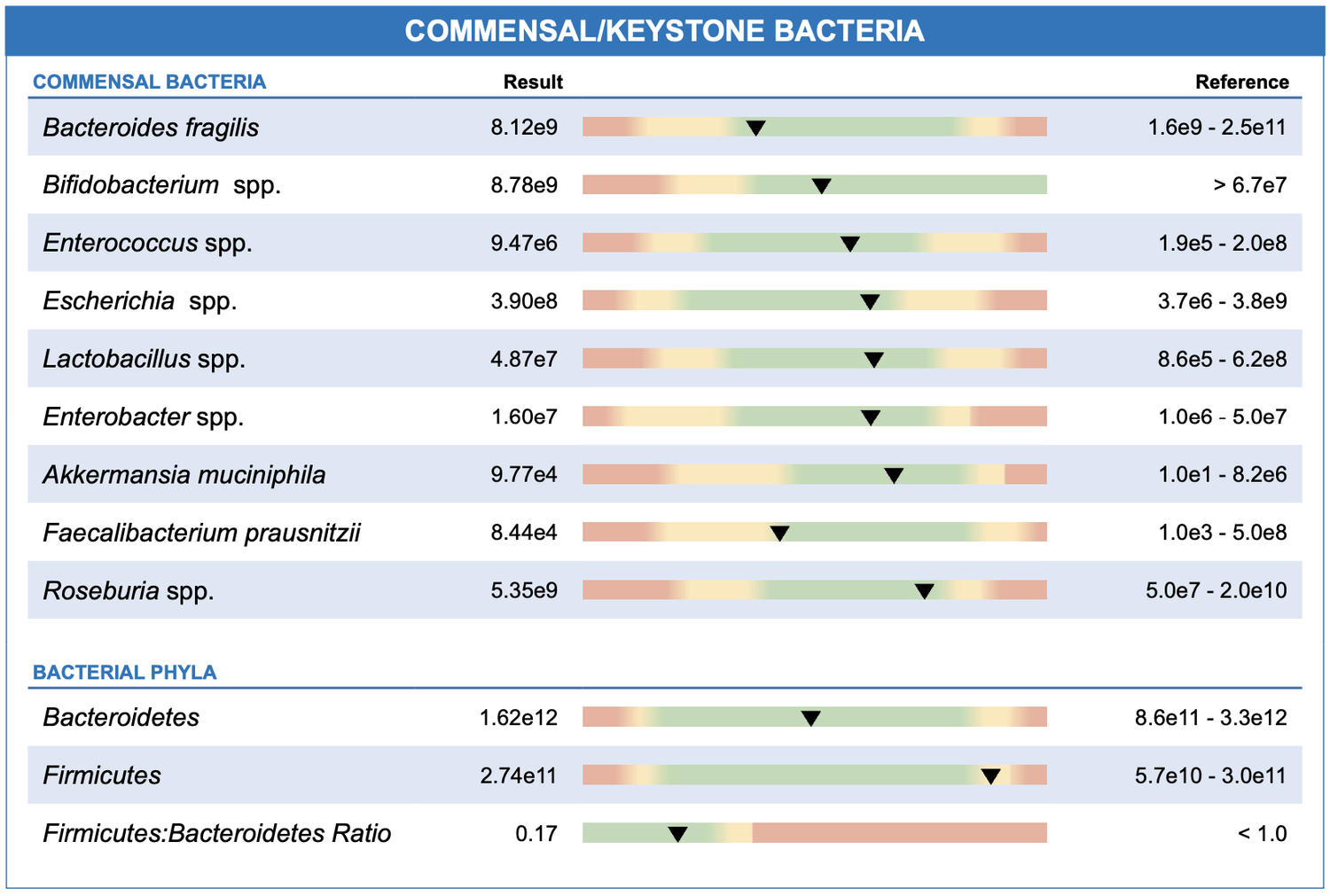 Grace Functional Nutrition — Gut Health, Constipation, Hormones & Bloat ...