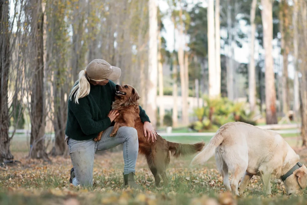 The Truffle Farm Tasmania | Home of Australia's First Black Truffle