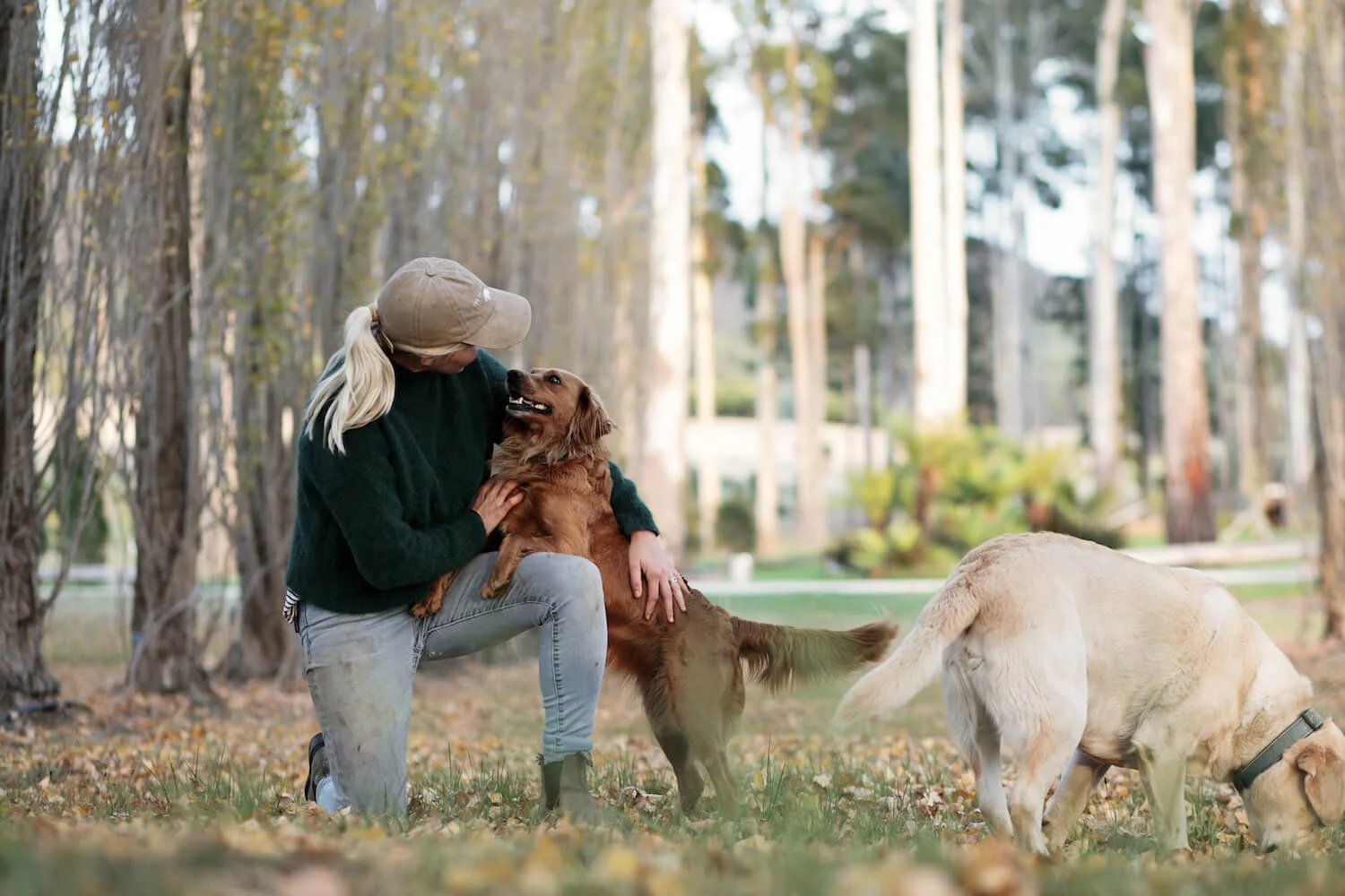 The Truffle Farm Tasmania | Home of Australia's First Black Truffle
